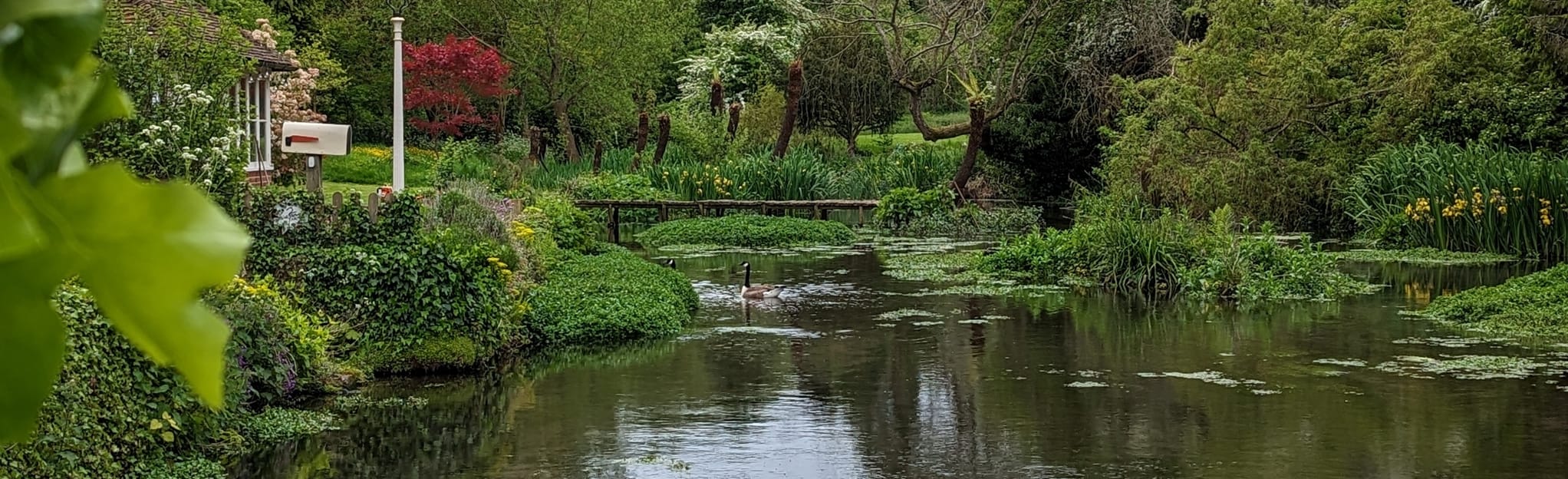 Coxheath Circular: 12 Fotos - Kent, England | AllTrails