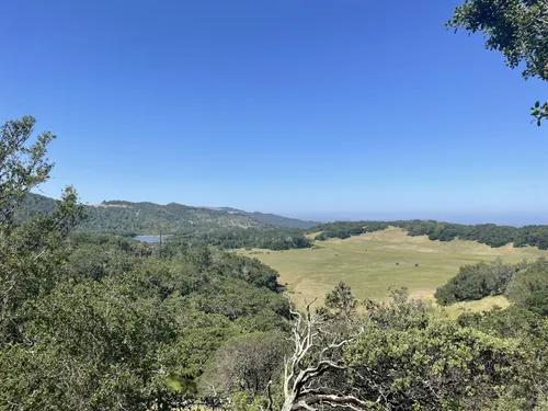 10 Best Walking Trails in Trione-Annadel State Park | AllTrails