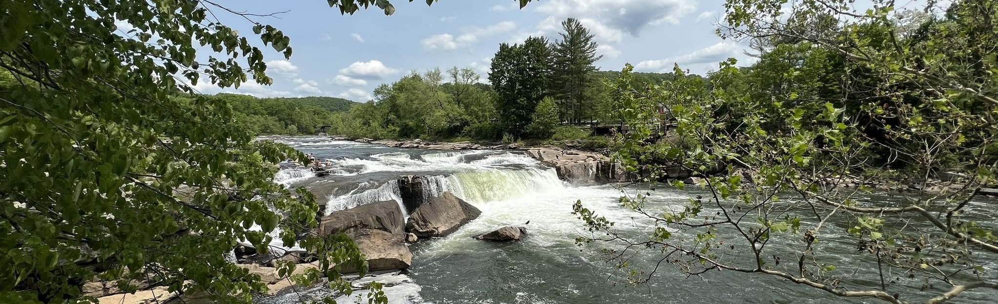 Ferncliff Trail, Pennsylvania - 1,263 Reviews, Map | AllTrails