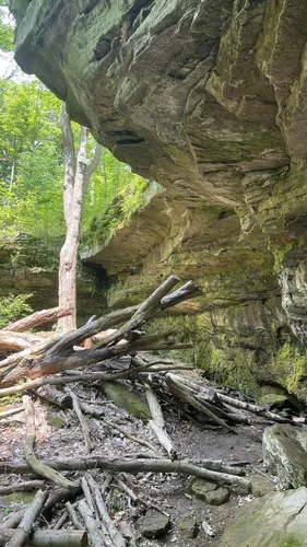 Best Hikes and Trails in Princess Ledges Natural Area | AllTrails