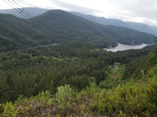 2023 Best Easy Trails in Anmore | AllTrails