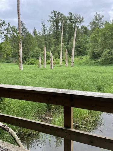 Best Lake Trails in Walnut Grove | AllTrails