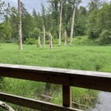 Port Kells Park, British Columbia, Canada - 40 Reviews, Map | AllTrails