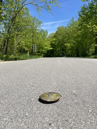 Best Hikes and Trails in Kettle Moraine State Forest Loew Lake Unit ...