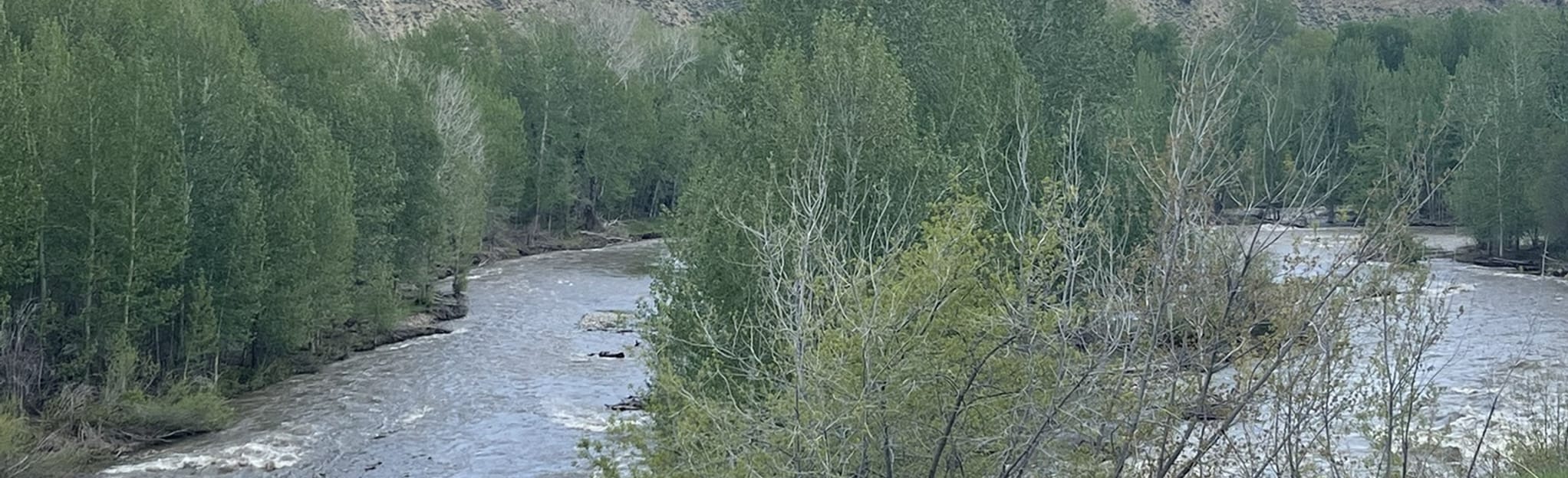 Wood River Trail, Idaho - 24 Reviews, Map | AllTrails