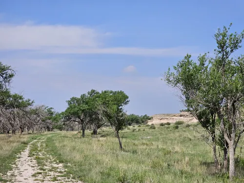 Best Hikes and Trails in Buffalo Lake National Wildlife Refuge | AllTrails