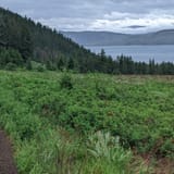 Cosens Bay Waterfall, British Columbia, Canada - 111 Reviews, Map ...