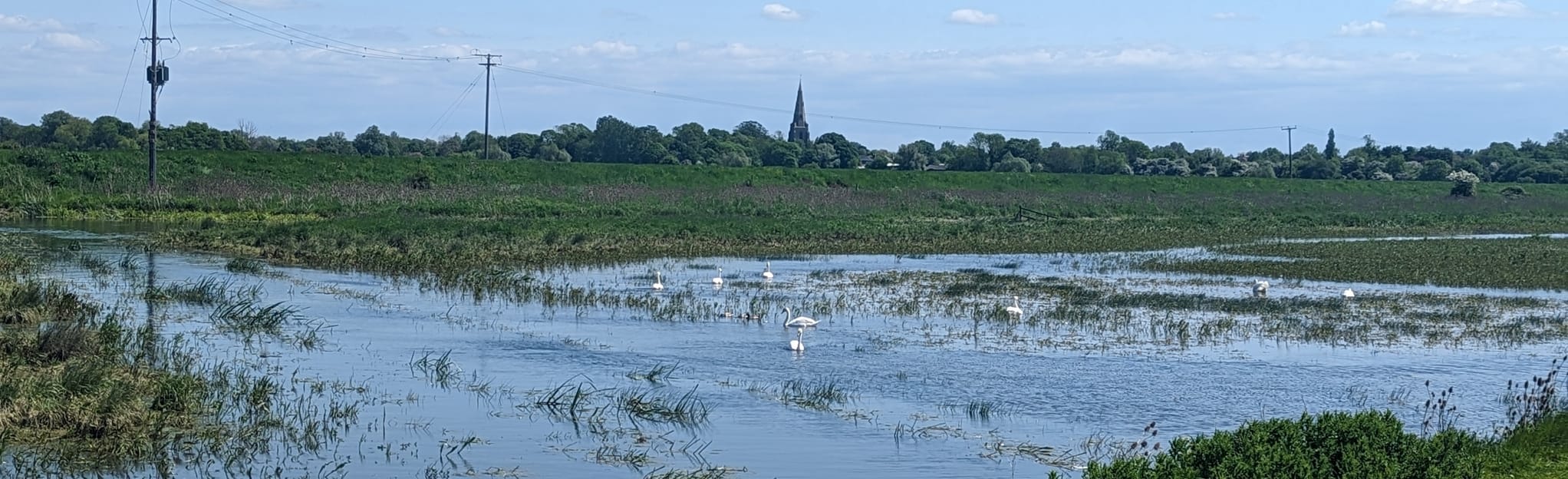 Swavesey and Overcote Circular, Cambridgeshire, England - 7 Reviews ...
