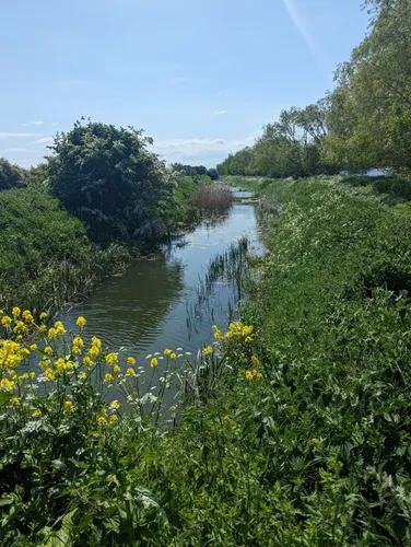 Best Hikes and Trails in Fen Drayton Nature Reserve | AllTrails