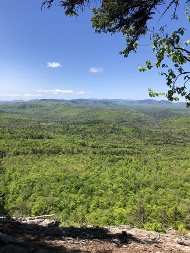 2023 Best Forest Trails in Albany Township | AllTrails