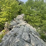 Bear Rocks via Appalachian Trail, Pennsylvania - 482 Reviews, Map ...