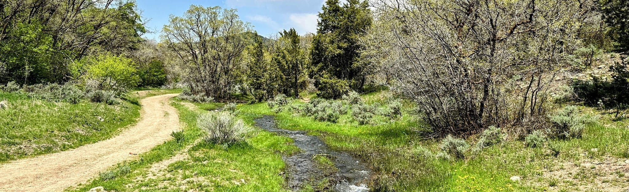 Turkey Hollow Trail via Yellow Fork Trail: 76 Reviews, Map - Utah ...