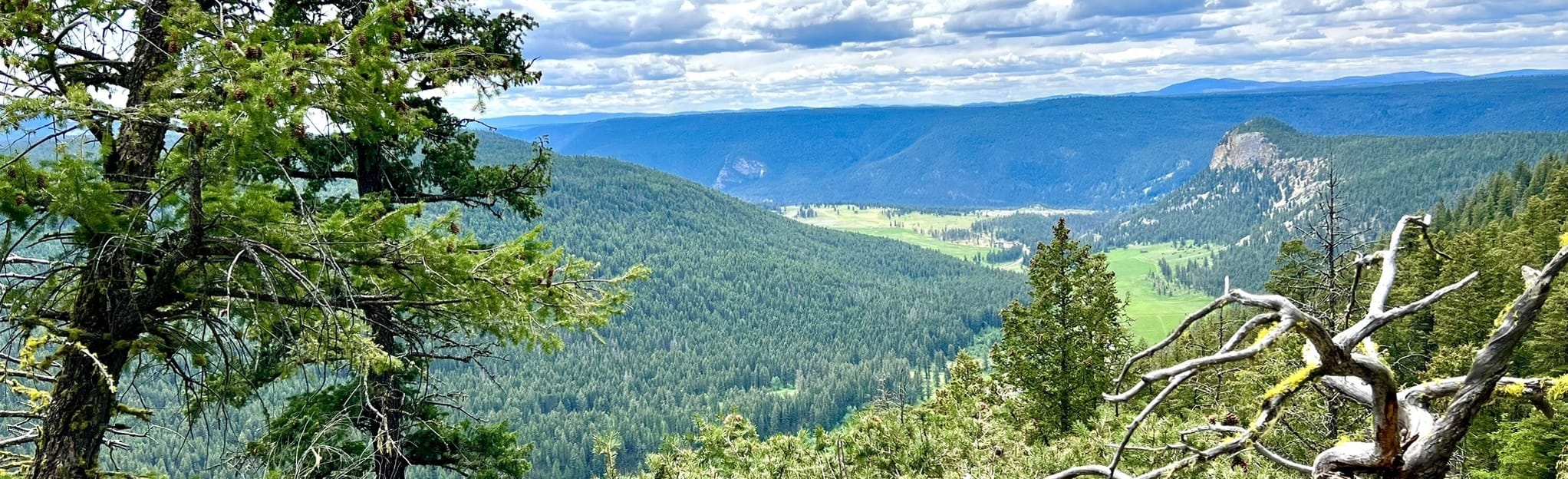 Ye Old Box Trail to First Lookout, British Columbia, Canada - 7 Reviews ...