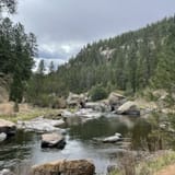 Gill Trail, Colorado - 302 Reviews, Map | AllTrails