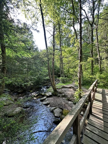 2023 Best Wild Flowers Trails in Walnut Bottom | AllTrails