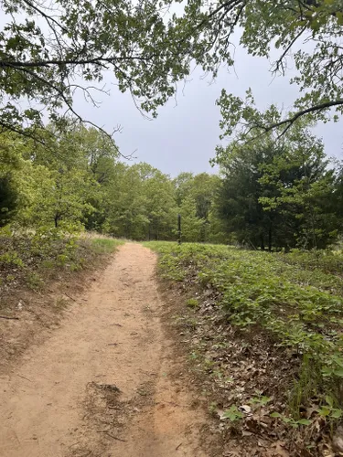 Best Hikes and Trails in Keystone Ancient Forest | AllTrails