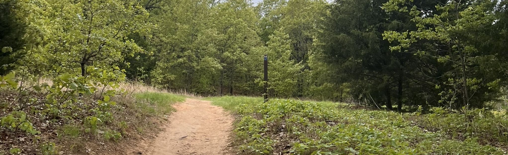 Keystone Ancient Forest Falls Trail, Oklahoma - 597 Reviews, Map ...