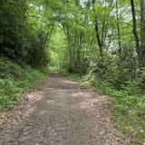 Thompson Loop, North Carolina - 185 Reviews, Map | AllTrails