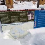 Laurier Lake Trail, Alberta, Canada - 9 Reviews, Map | AllTrails