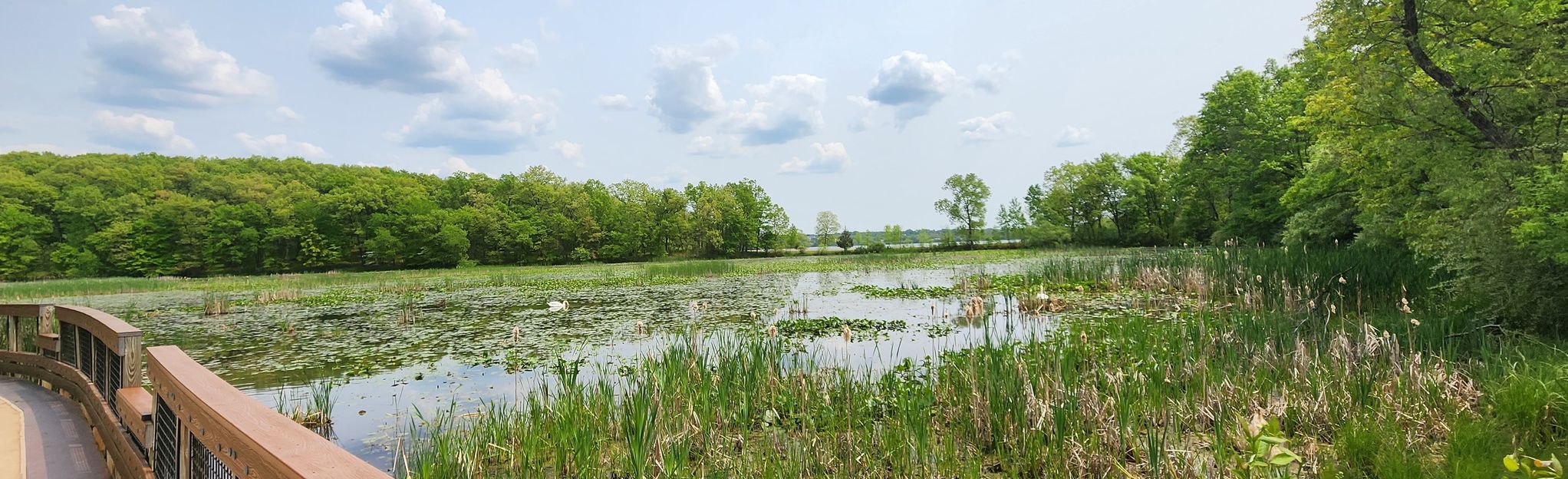 Kensington Metropark Loop Trail: 148 Reviews, Map - Michigan | AllTrails