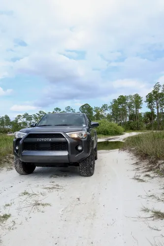 2023 Best 10 Off Road Driving Trails in Florida | AllTrails