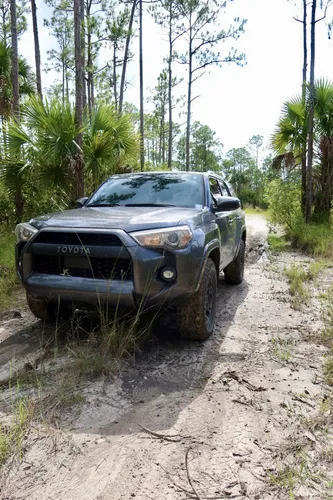 2023 Best 10 Off Road Driving Trails in Florida | AllTrails