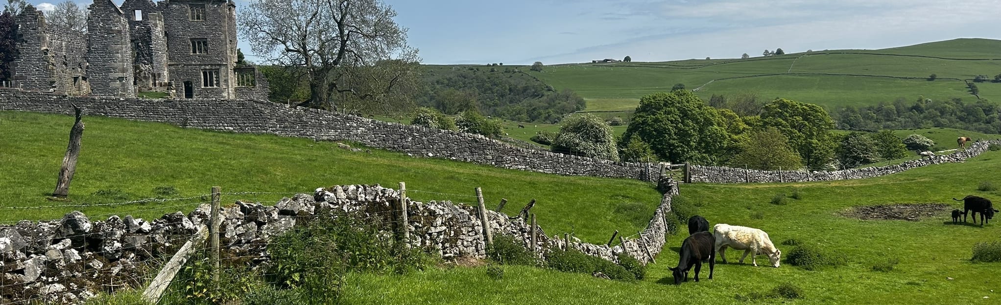 Throwley Hall, Soles Hollow and Manifold Trail : 164 Photos ...