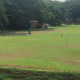 UP Oval Trail, Metro Manila, Philippines - 46 Reviews, Map | AllTrails
