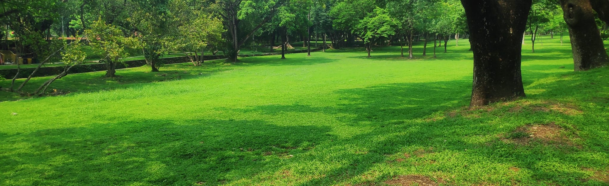 UP Oval Trail, Metro Manila, Philippines - 31 Reviews, Map | AllTrails