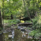 Muddy Run Lakeshore Trail, Pennsylvania - 358 Reviews, Map | AllTrails