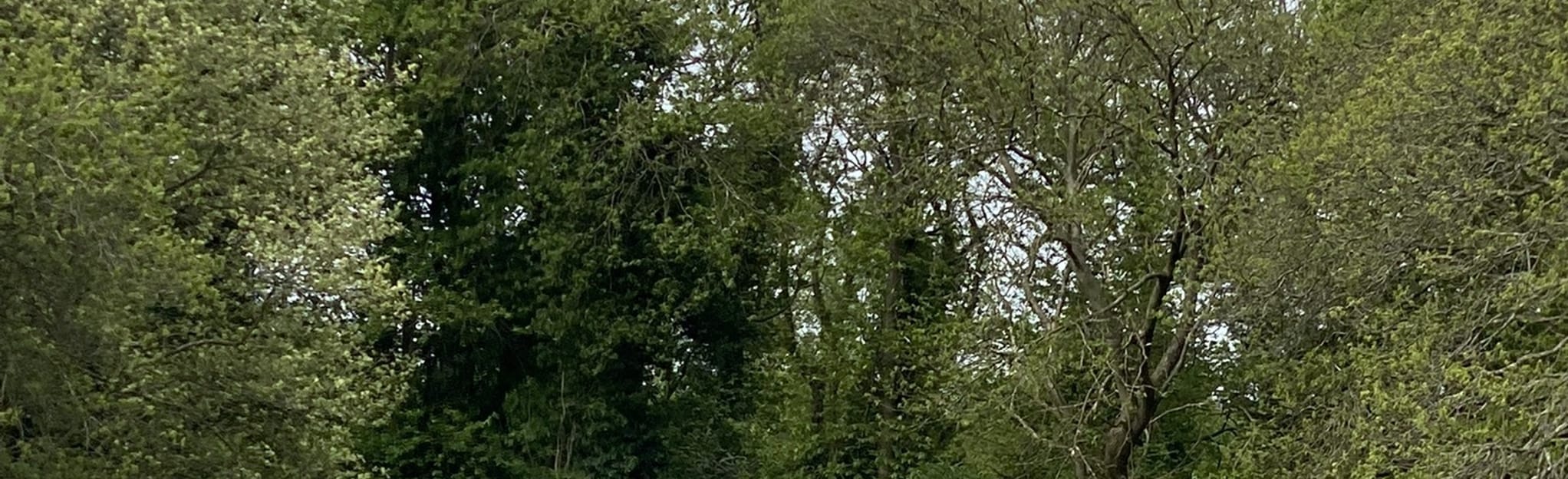 Whyteleafe and Kenley Aerodrome Circular: 21 Reviews, Map - Surrey ...