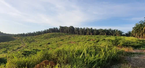 2023 Best Lake Trails in Ulu Tiram | AllTrails