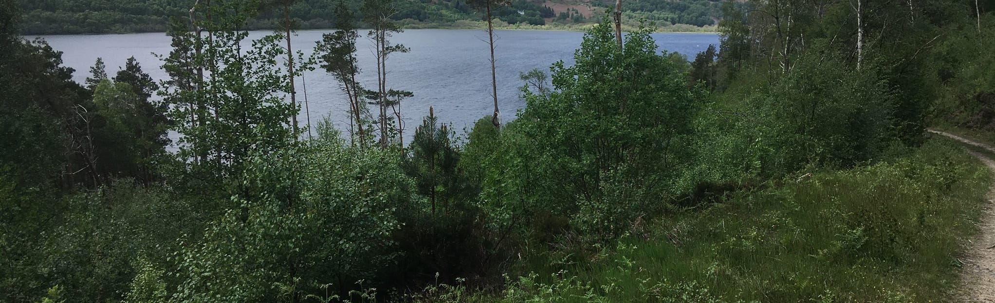 Contin to Garve, Highlands, Scotland - 6 Reviews, Map | AllTrails