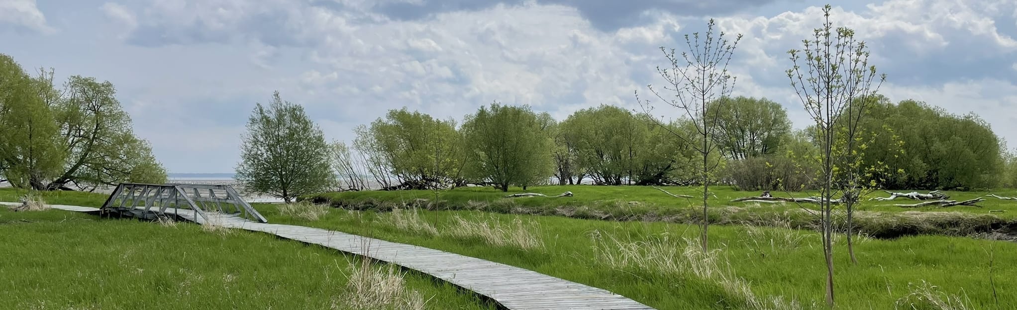 The Woods Smell Nice Trail, Quebec, Canada - 31 Reviews, Map | AllTrails