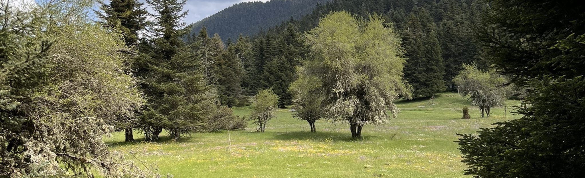 Menalon Trail Segment 3: Zygovisti - Elati, Peloponnese, Greece - 29 ...