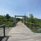 Neabsco Creek Boardwalk, Virginia - 844 Reviews, Map | AllTrails