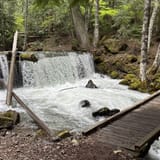 Easton Ridge Trail, Washington - 374 Reviews, Map | AllTrails