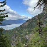 Easton Ridge Trail, Washington - 374 Reviews, Map | AllTrails