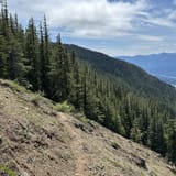 Easton Ridge Trail, Washington - 367 Reviews, Map | AllTrails
