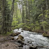 Easton Ridge Trail, Washington - 374 Reviews, Map | AllTrails