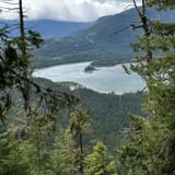 Easton Ridge Trail, Washington - 374 Reviews, Map | AllTrails