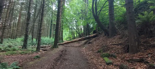 10 Best Moderate Trails in Ring of Gullion National Landscape (AONB ...