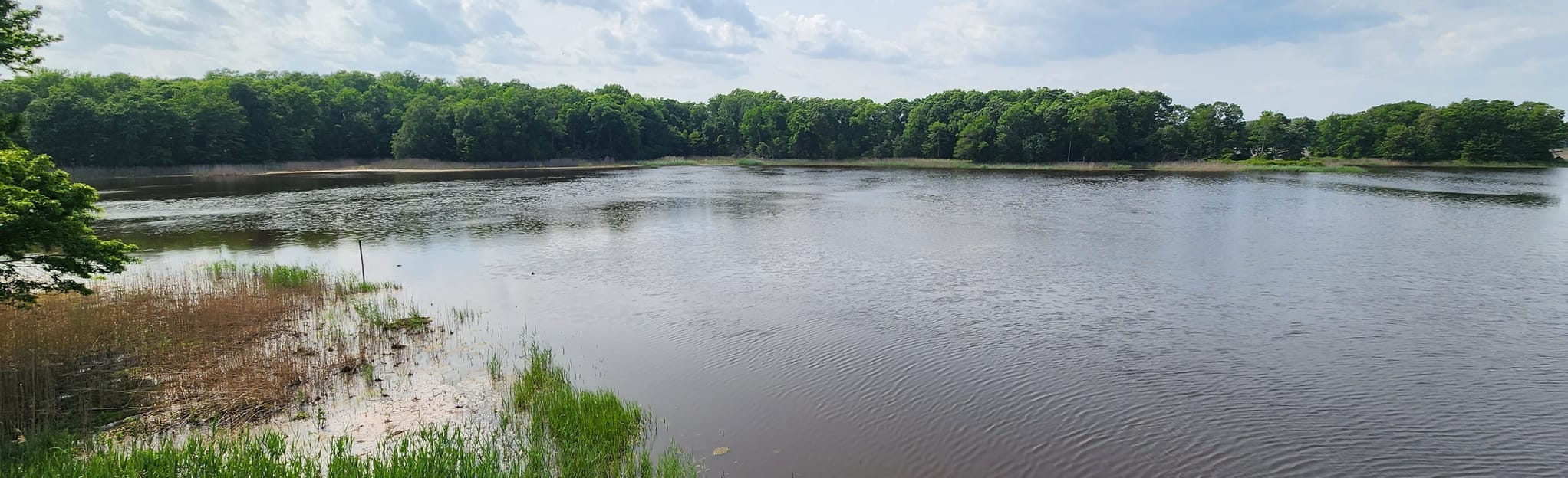 Bear Swamp Pool Tower Loop Trail: 30 Reviews, Map - Delaware | AllTrails