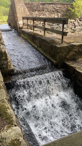 2023 Best Backpacking Trails in Rothrock State Forest | AllTrails