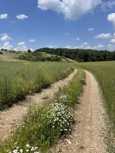 Best Hikes and Trails in Toritto | AllTrails