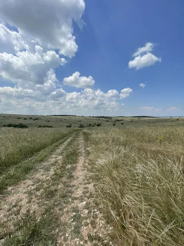 Best Hikes and Trails in Toritto | AllTrails