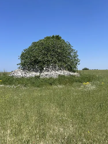 Best Hikes and Trails in Toritto | AllTrails