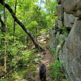 Silver Mine Trail, Missouri - 254 Reviews, Map | AllTrails