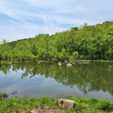 Silver Mine Trail, Missouri - 254 Reviews, Map | AllTrails