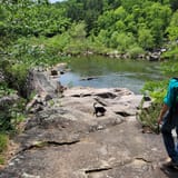 Silver Mine Trail, Missouri - 254 Reviews, Map | AllTrails